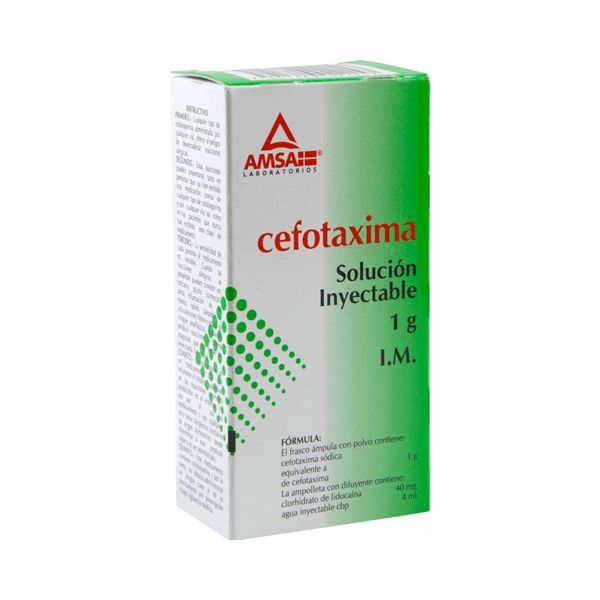 Cefotaxima 1 g Solución Inyectable AMSA – Farmacia Sanorim